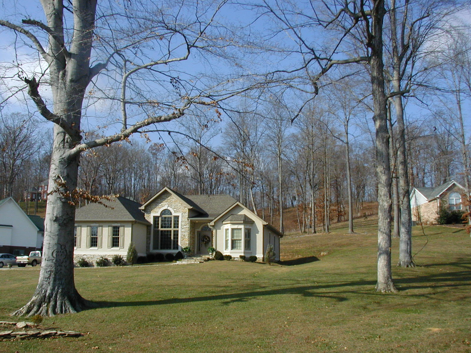 Springs Subdivision -- Existing Homes